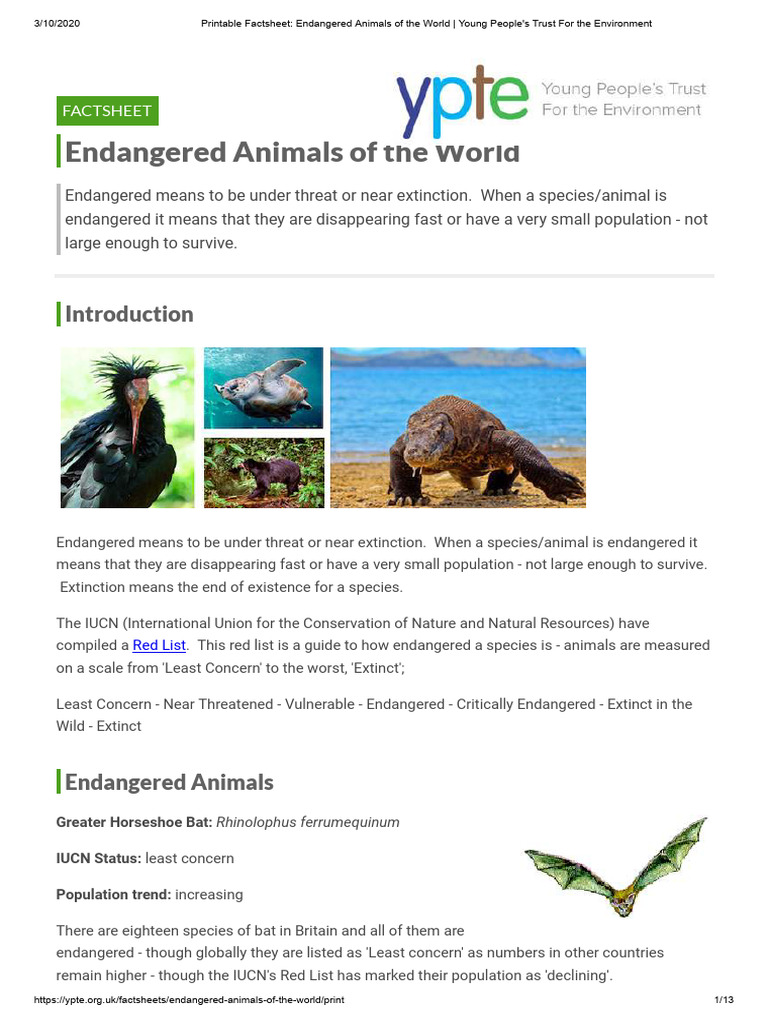 Global Endangered Animals Overview | PDF | Endangered Species | Extinction