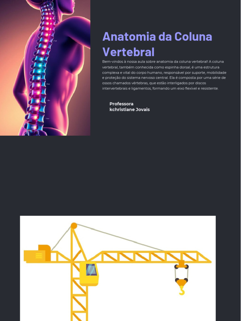 Anatomia da Coluna Vertebral | PDF | Coluna vertebral | Sistema Locomotor
