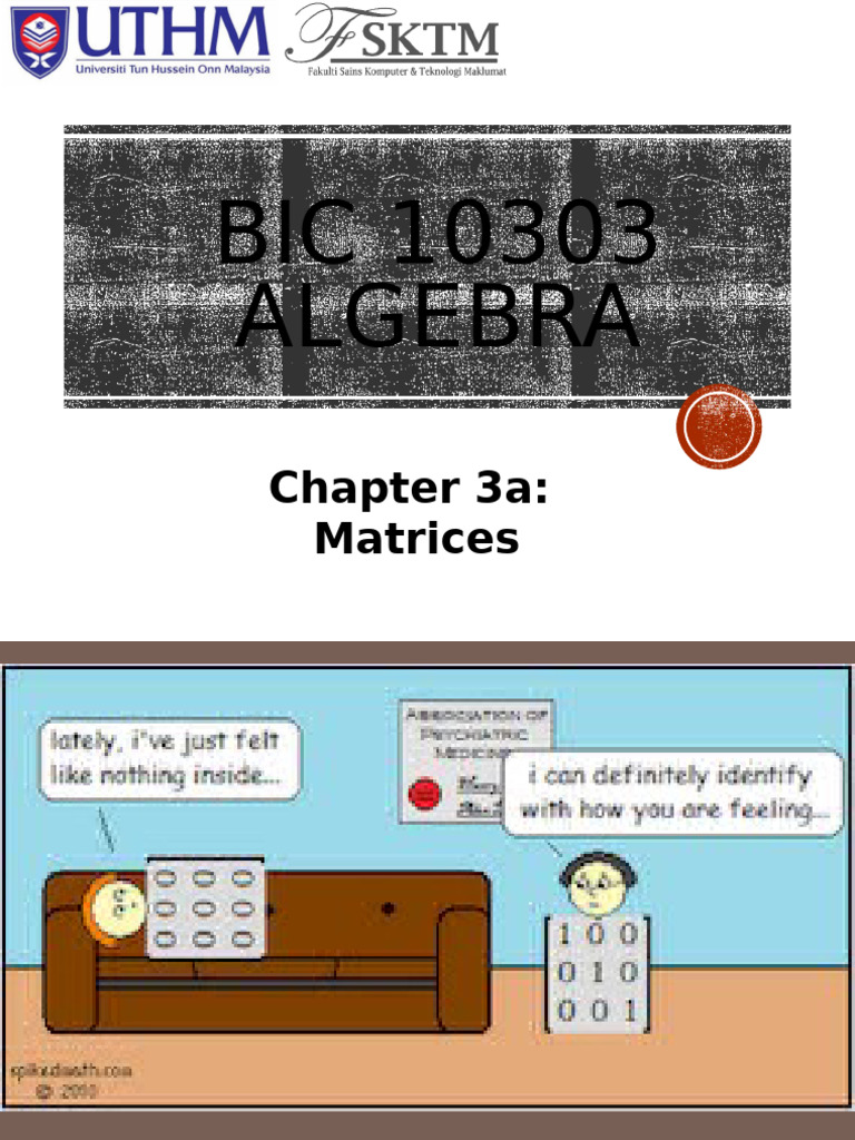 Chapter3a Matrices | PDF | Matrix (Mathematics) | Eigenvalues And ...