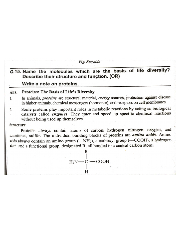 Proteins & Nucleic Acids | PDF