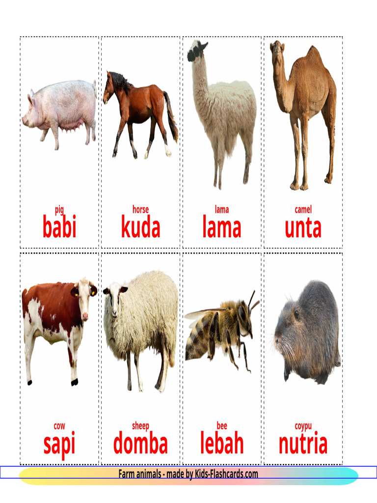 Farm Animals 8 A4 | PDF