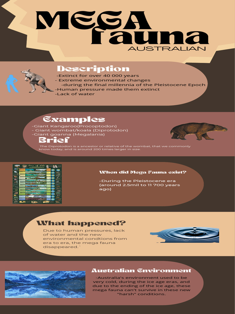 Mega Fauna - Infographic | PDF