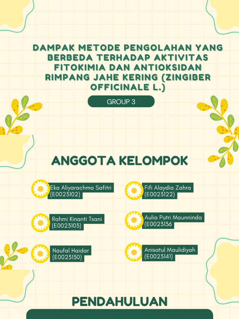 Fitokimia Kelompok 3 | PDF