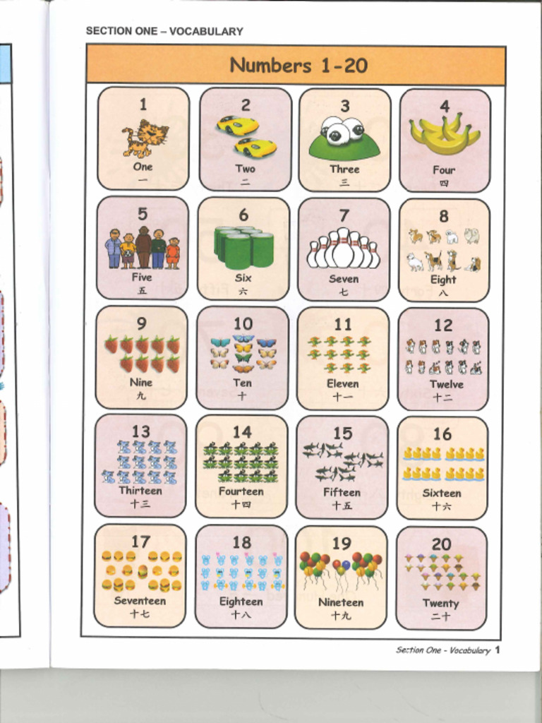 Primary 1 English Vocabulary | PDF
