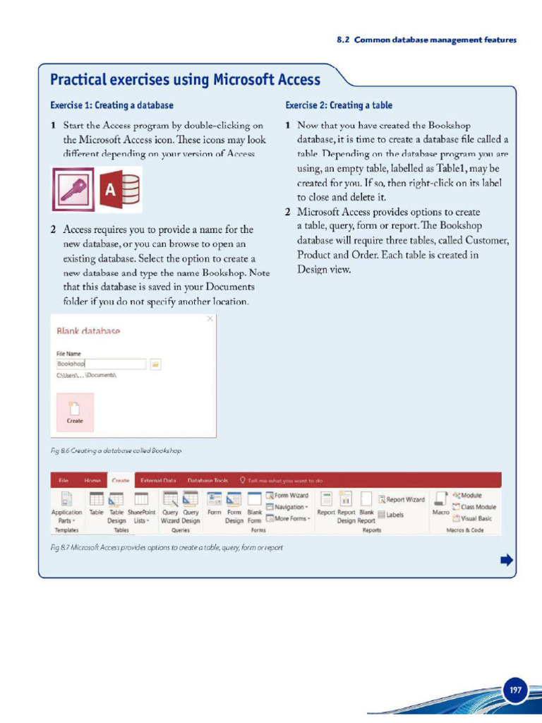 ITX Practical Exercises Using Mocrosoft Access | PDF
