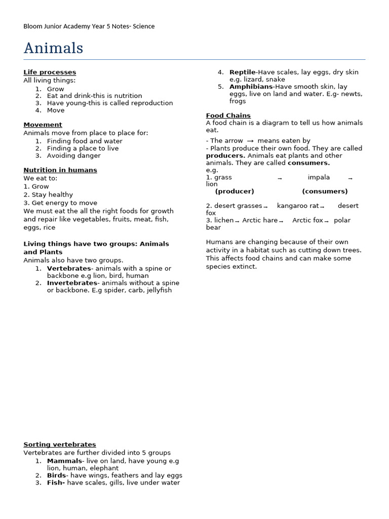 Year 5 Science Notes - Animals-1 | PDF