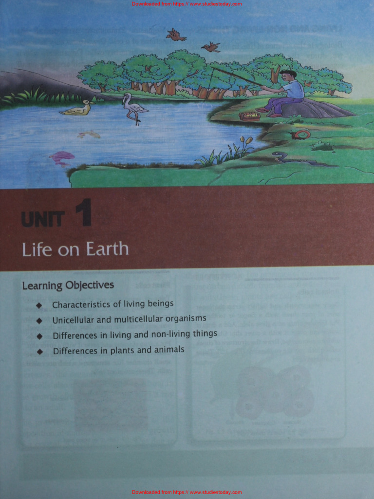 -Life-on-Earth_unlocked | PDF