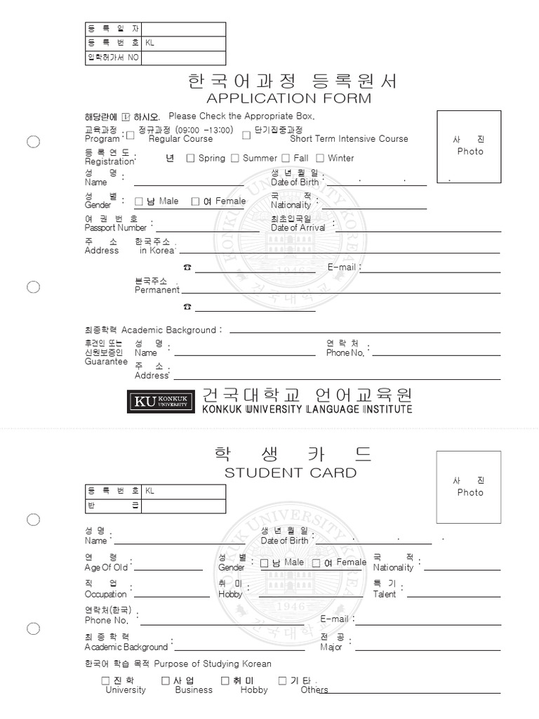 Korean Application | PDF