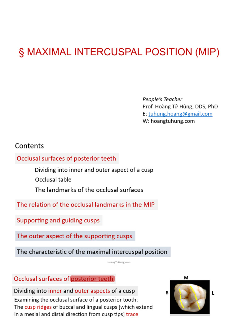 Maximal Intercuspal Position PDF | PDF | Dentistry | Mouth