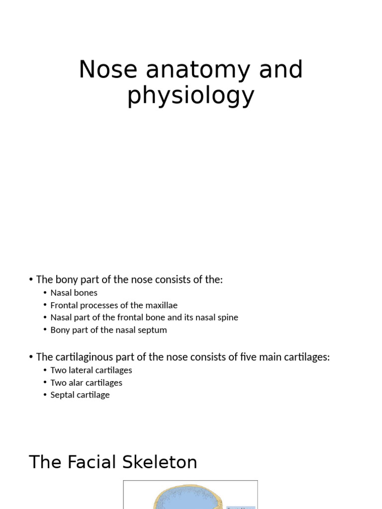 Nose Anatomy and Physiology | PDF | Human Nose | Human Head And Neck
