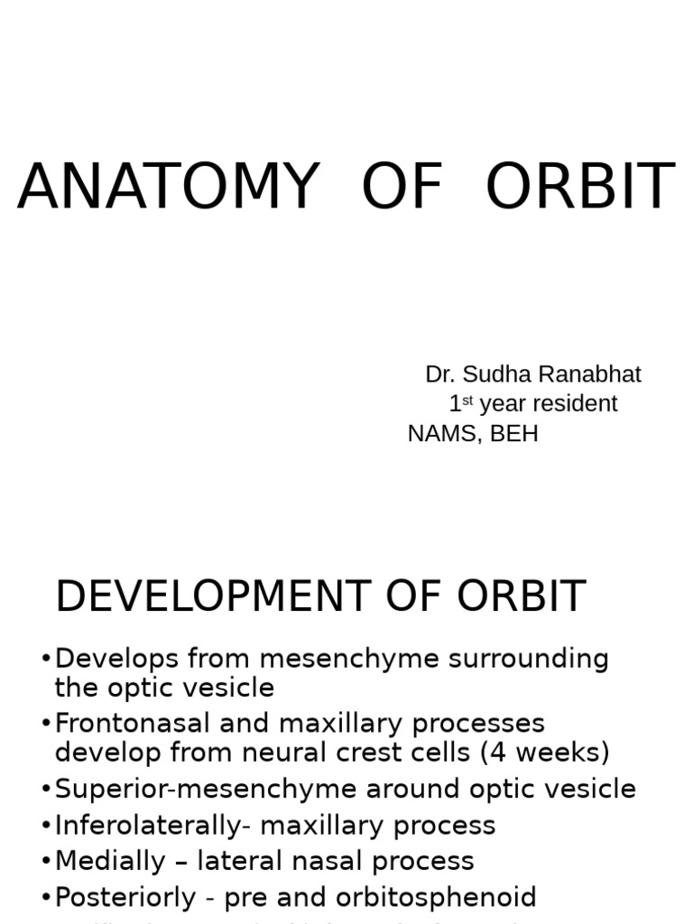 Anatomy and Development of the Orbit | PDF | Otorhinolaryngology ...