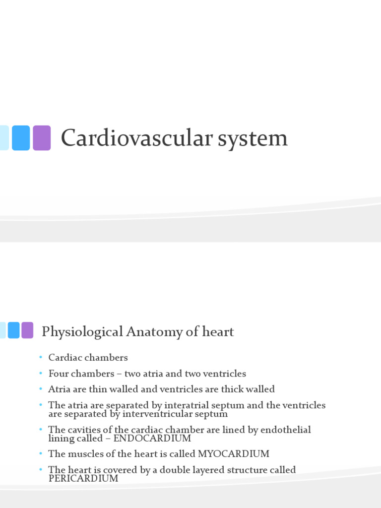 5. Cardiovascular System | PDF | Heart Valve | Ventricle (Heart)
