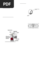 Pulverization Process in Powder Metallurgy | PDF | Mill (Grinding) | Alloy