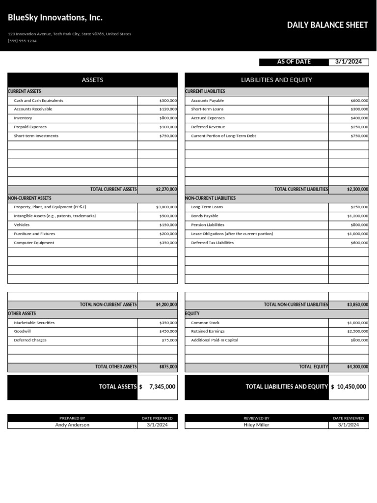 Daily Balance Sheet Template | PDF | Balance Sheet | Equity (Finance)