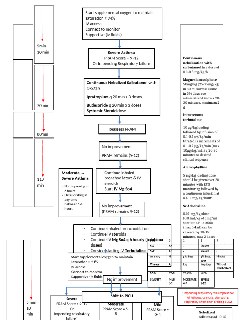 Asthma Algorithm CAR Project | PDF | Intravenous Therapy | Asthma