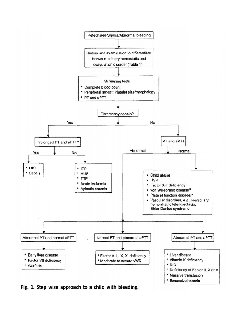 Approach To Bleeding | PDF