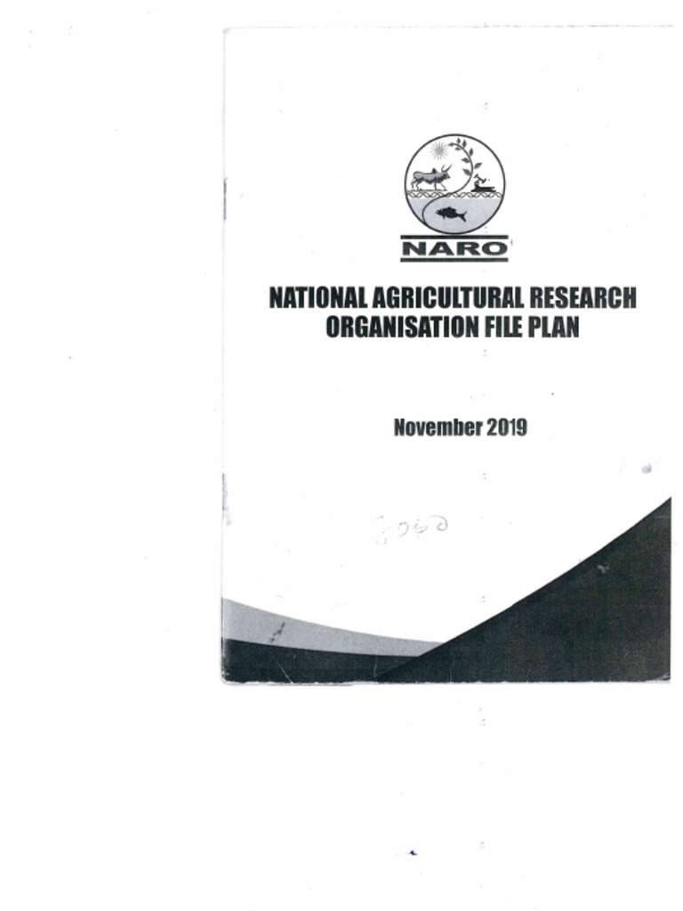 Naro File Plan | PDF
