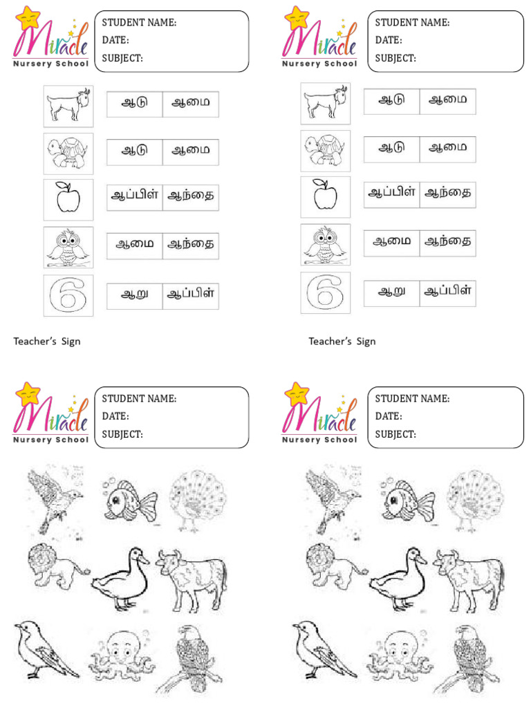 Evs Worksheet Pdf