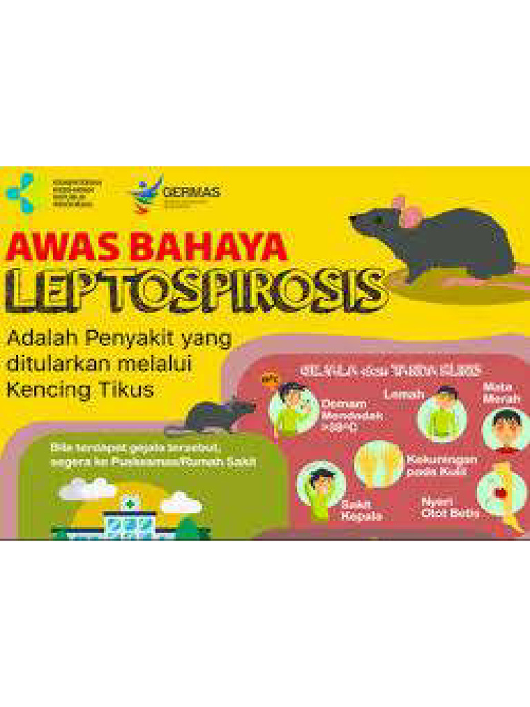 Leptospirosis | PDF