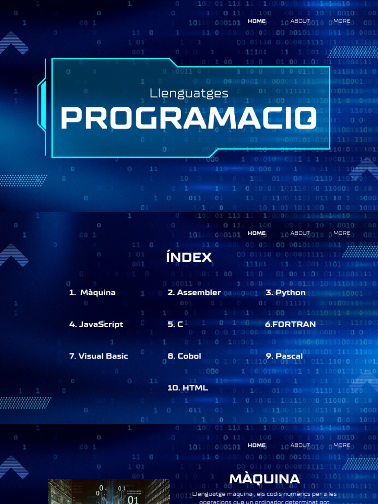 Llenguatges de Programació | PDF