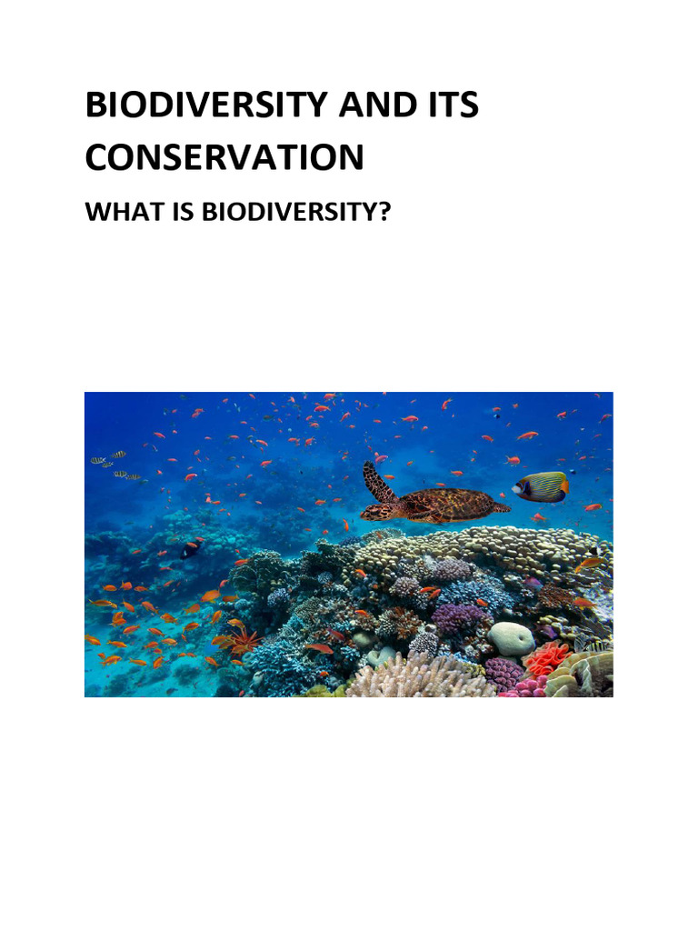 BIODIVERSITY AND ITS CONSERVATION | PDF | Biodiversity | Conservation ...