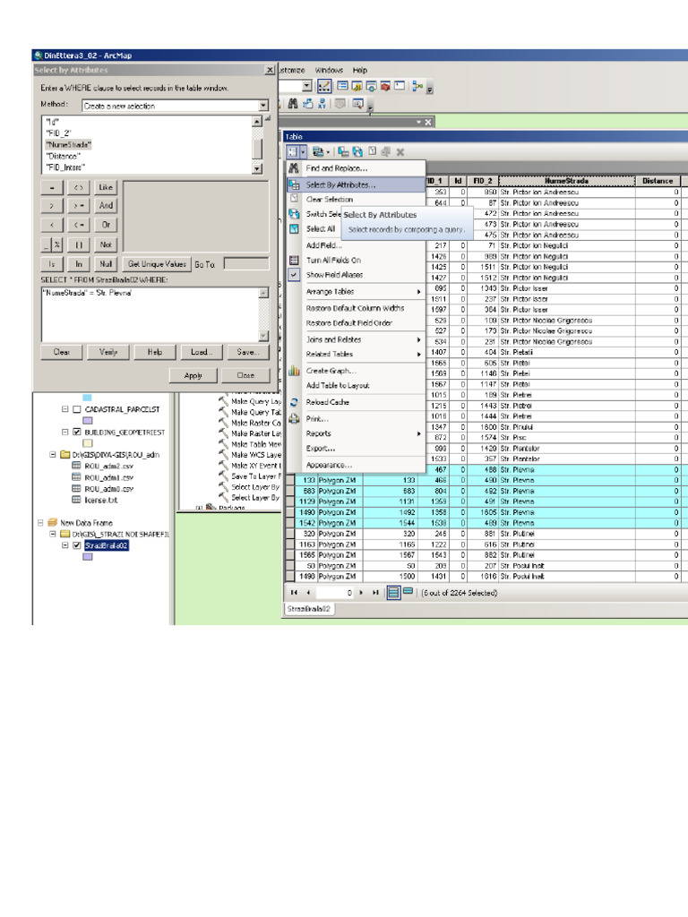 Selectie Cu Atribute | PDF