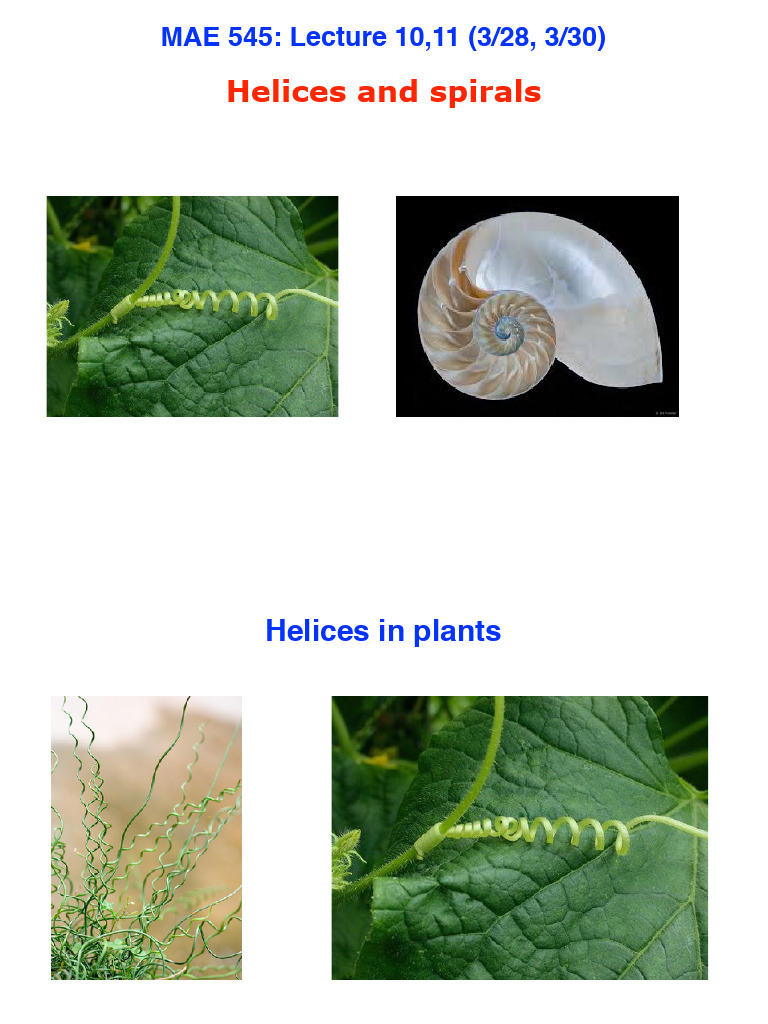 Lecture10 11 Slides | PDF | Helix