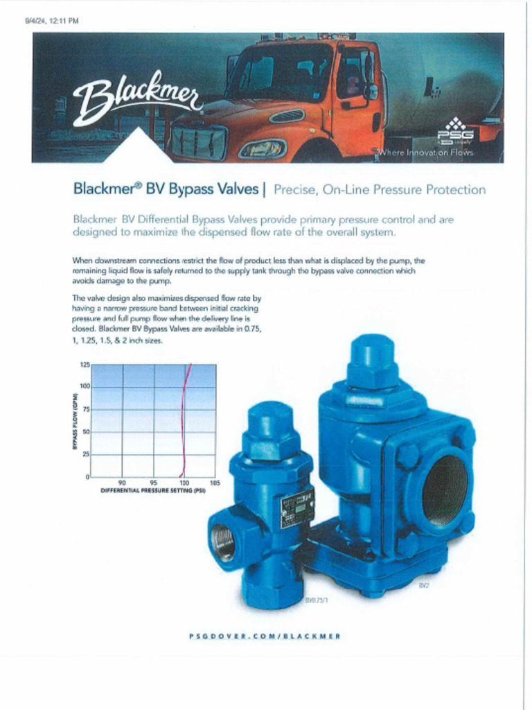 Blackmer Bypass Valve | PDF