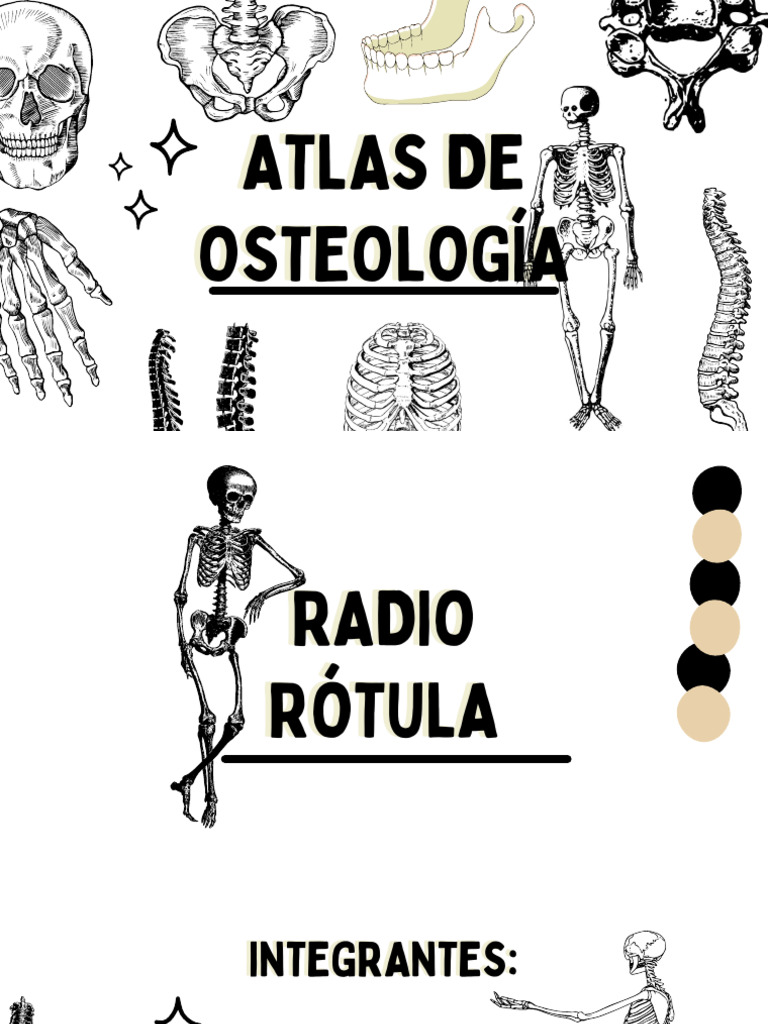 Atlas radio y Rótula_compressed | PDF | Anatomía humana | Sistema ...
