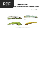 Life Cycle of Laccifer Lacca Insect | PDF | Insects | Anatomical Terms ...