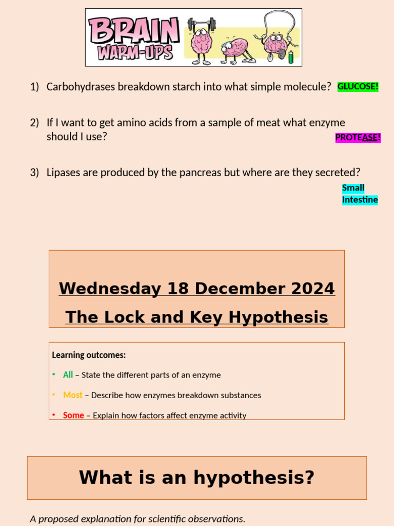 Lock and Key Hypothesis of Enzymes | PDF | Enzyme | Active Site