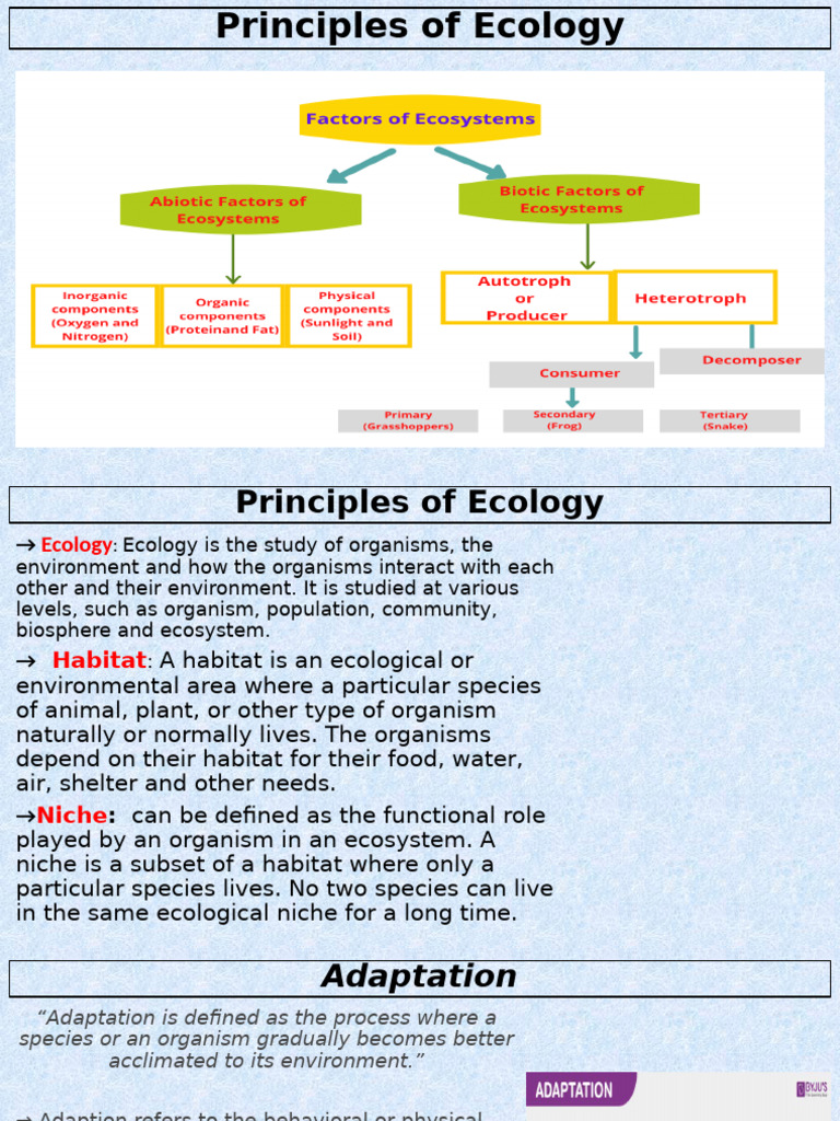 Principles of Ecology | PDF | Food Web | Aquatic Ecosystem