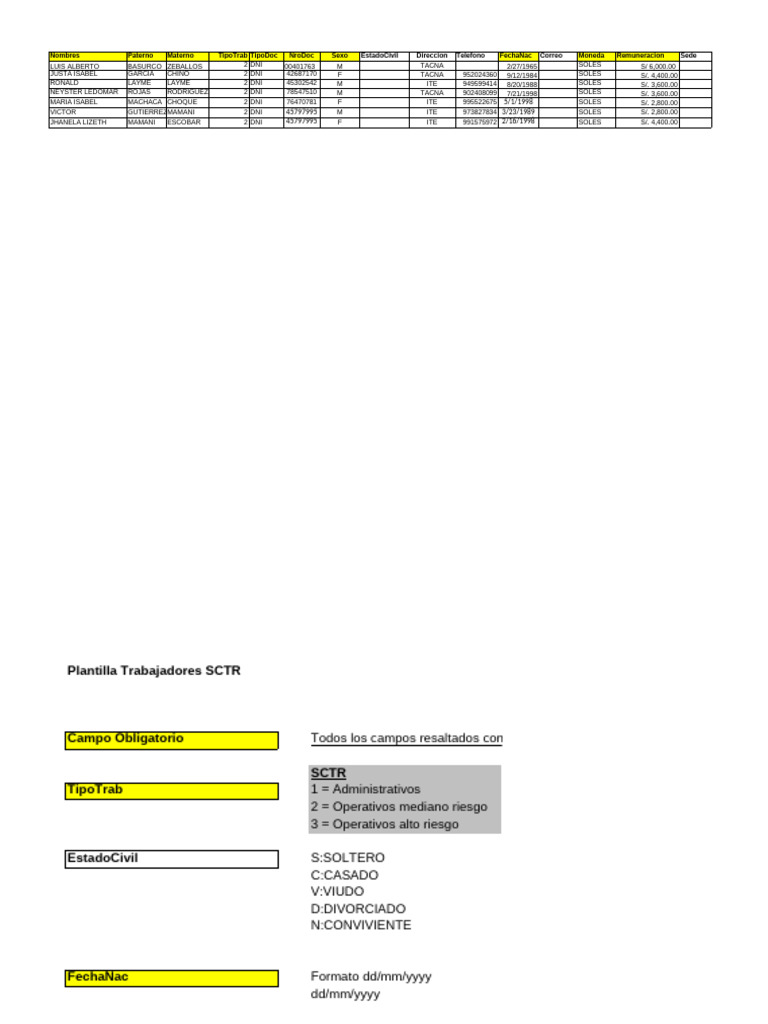 Formato SCTR-2024 | PDF