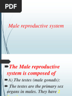 2025 03 13 Lim LFSC GR12 Pre Test MG | PDF | Nucleotides | Biology