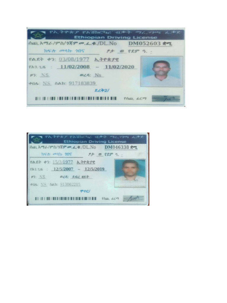 Driving Licence | PDF