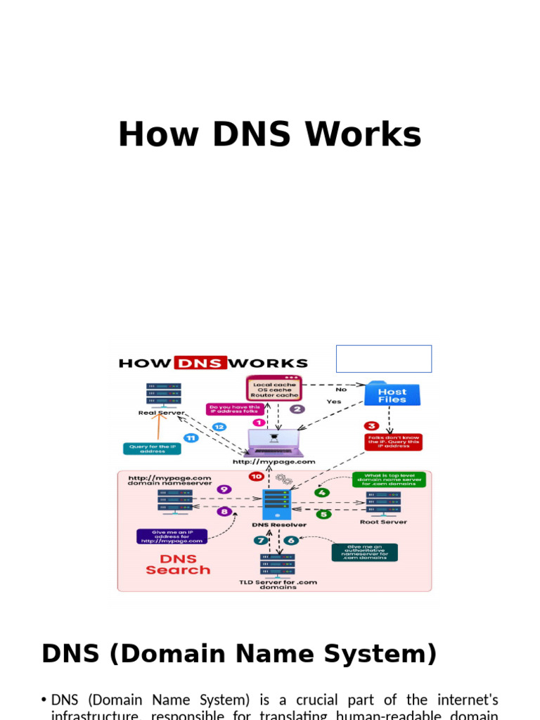 DNS (1) | PDF | Domain Name System | Domain Name