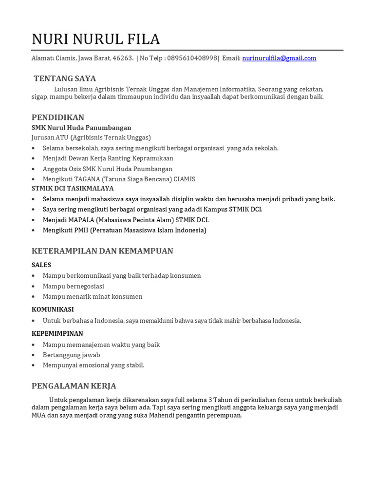 CV Nuri Nurul Fila | PDF