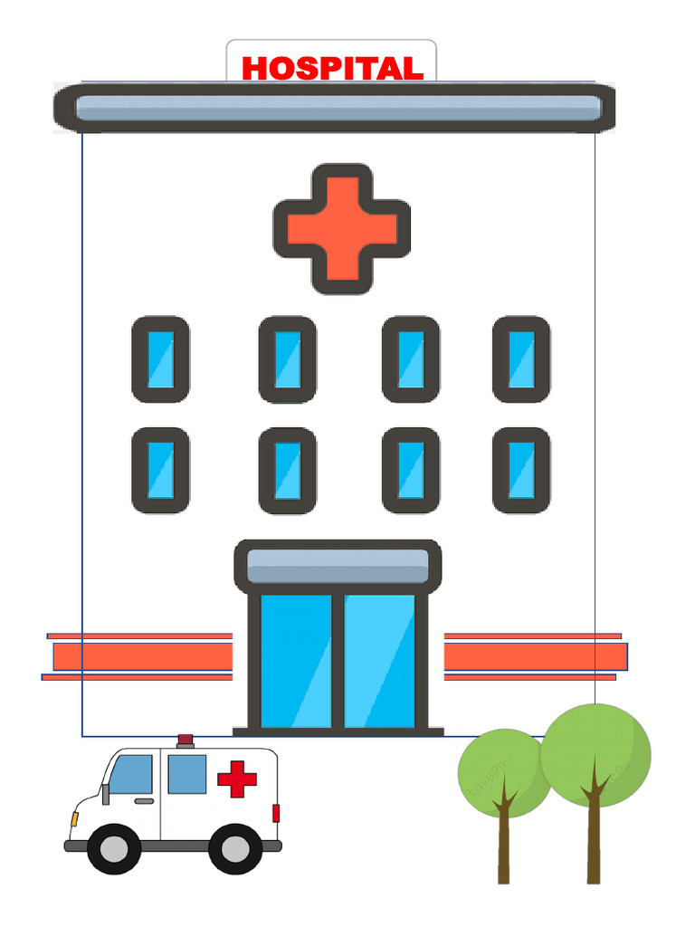 Actividad Doctor Hospital Funda | PDF