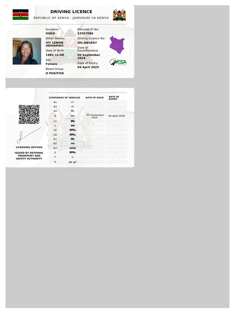 DLR V5DU5D6MP Electronic Driving License | PDF