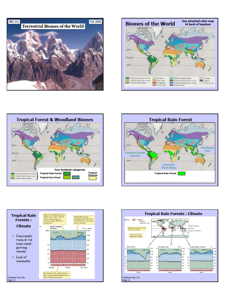 BIOMES OF THE WORLD | PDF | Forests | Desert