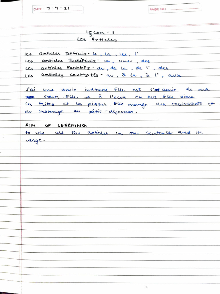 French Class 9 Lesson 1 Notes | PDF