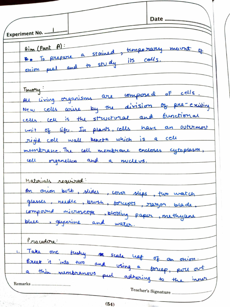 Biology Class 9 Practical File | PDF