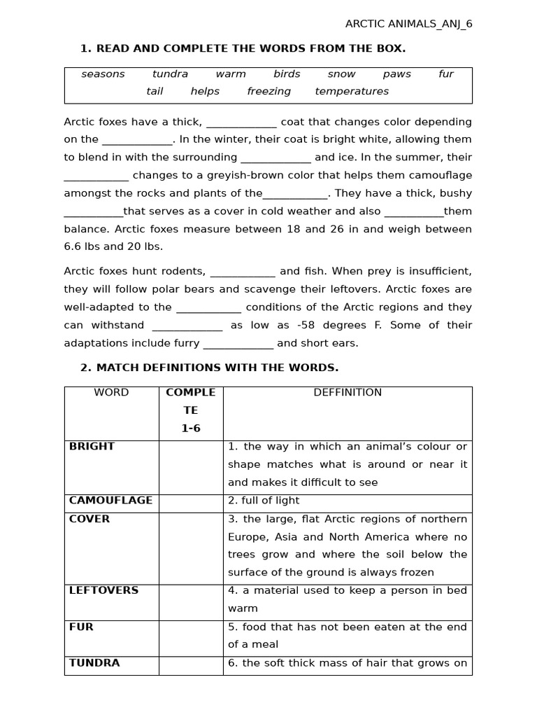 Arctic Animals (Mikulášske Učenie ANJ - 6) | PDF | Fox | Arctic