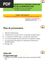 Comprendre les SONU et leur impact | PDF | Accouchement | Grossesse