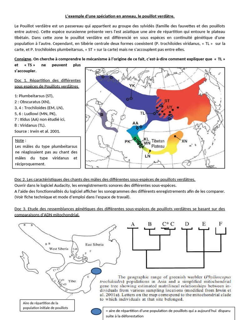Spéciation du Pouillot Verdâtre en Anneau | PDF