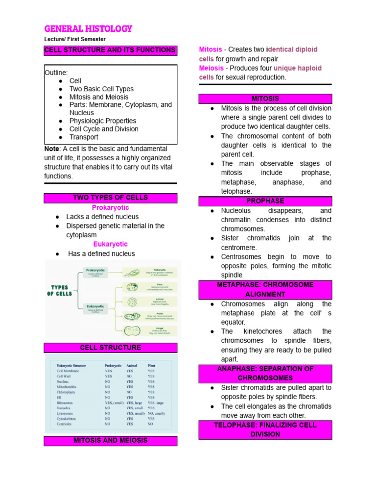 Cell Structure & Functions Overview | PDF | Epithelium | Meiosis