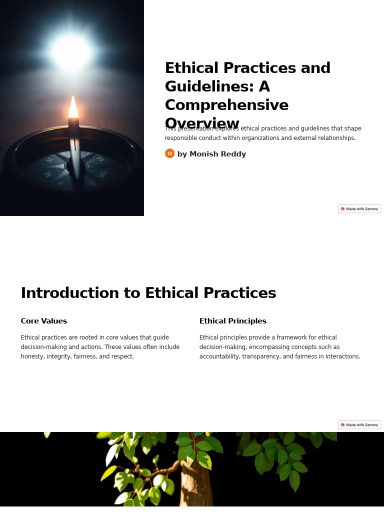 Ethical Practices and Guidelines Overview | PDF | Integrity ...