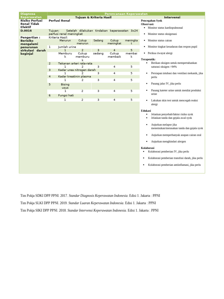 Sdki Slki Siki Risiko Perfusi Renal Tidak Efektif | PDF