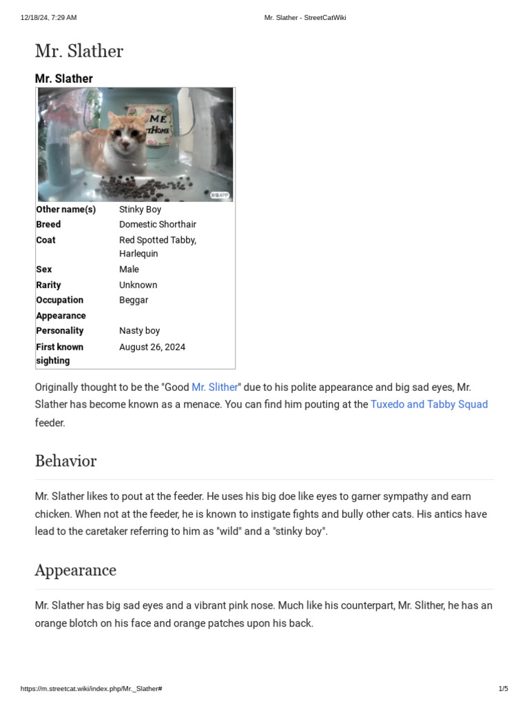 Mr. Slather: The Stinky Beggar Cat | PDF | Cats | Domesticated Animals