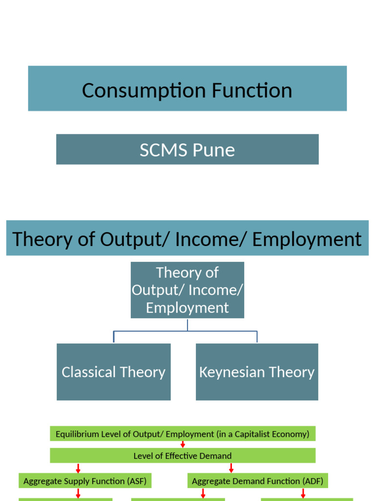Consumption Function | PDF | Consumption (Economics) | Aggregate Demand